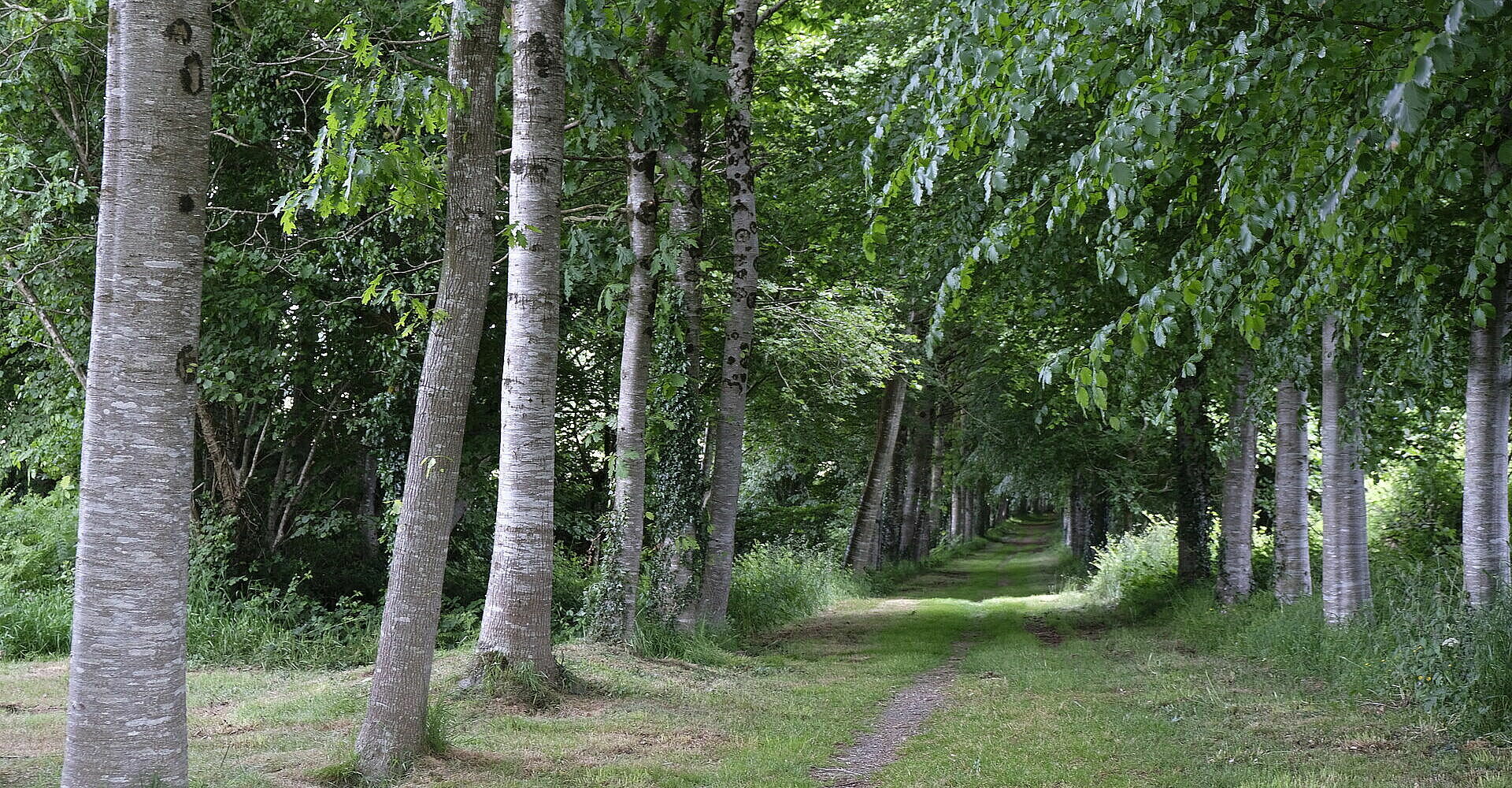 Le Haut-Corlay - Bretagne Centre
